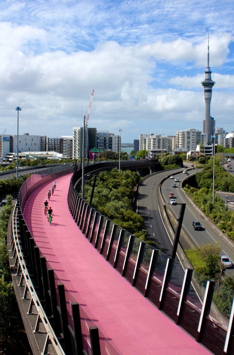 Best Auckland Tour? The Classic - Power to the Pedal